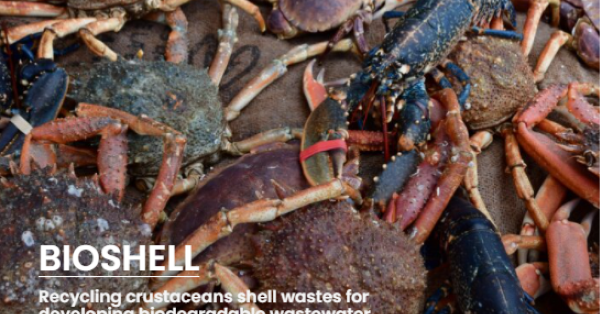 BIOSHELL | JPI Oceans