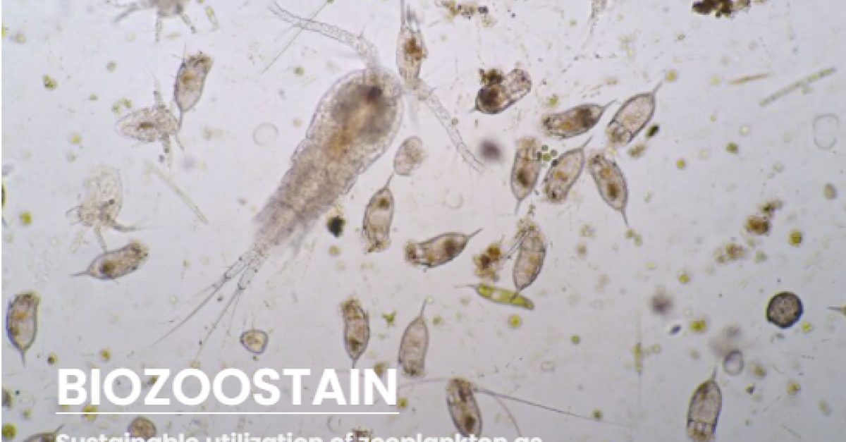 BIOZOOSTAIN | JPI Oceans